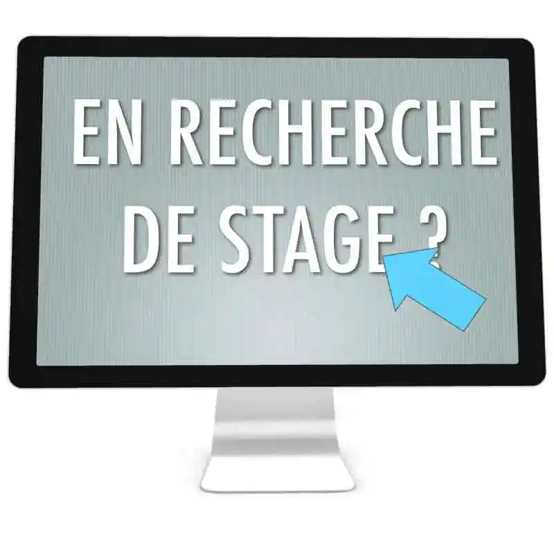 demande-de-stage – ESIIA